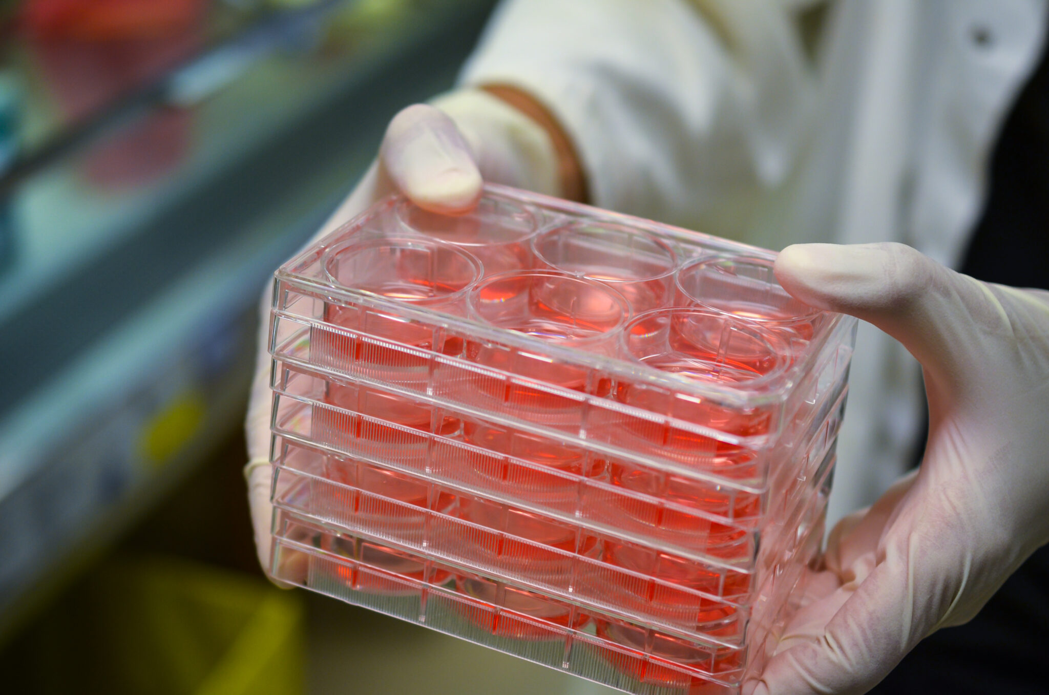 Preclinical - Celonic – Beyond Biomanufacturing